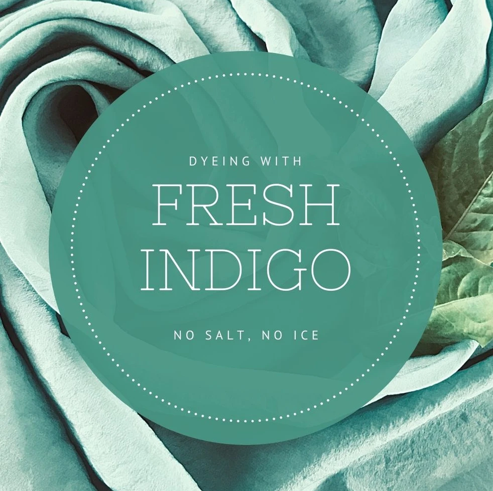 Quick Fresh Indigo – Natural Dye Store